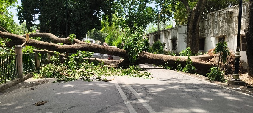 Trees And Branches Fell Onto The High-tension Line Due To A Storm ...