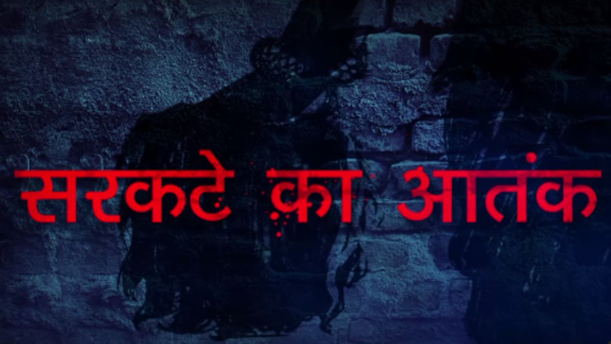 Stree 2 Motion Poster Release Rajkumar Rao Shraddha Kapoor Pankaj ...
