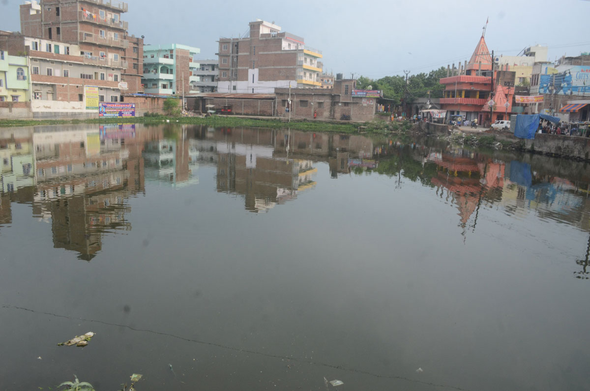 पटना में खाली प्लॉट बन रहे हैं डेंगू फैलाने वालीे नर्सरी- पटना में खाली ...