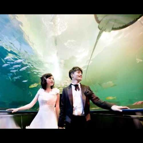 Weird Escalator Of The World In Pictures, Photo Gallery Inext Live