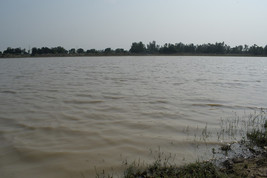 Kakra Khurd And Lilour Lake Will Be Declared Wetlands. - Bareilly News