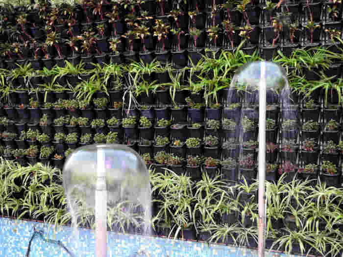 51.50 Lakh Plants To Be Planted On The Occasion Of Wolrd Environment ...