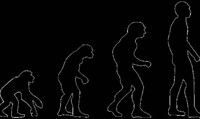 85000 Years Old Ancient Human Finger Fossil Discovered In Saudi Arabia ...