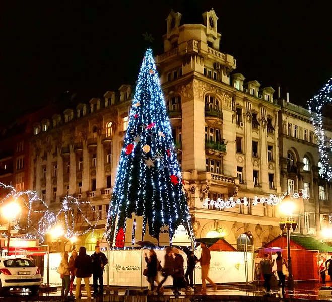 The Most Expensive Christmas Tree Ever And Know Why Public Uproar High ...