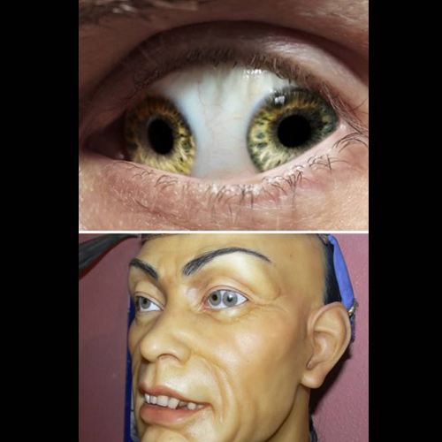 In Pictures 10 Most Bizarre Eyes, Photo Gallery Inext Live