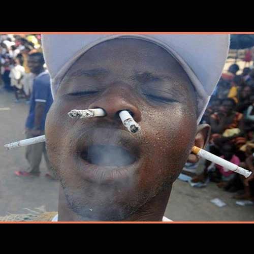 Funny Photos Viral On Social Media, Photo Gallery Inext Live