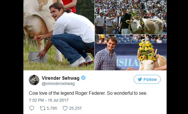 Virender Sehwag Just Tweeted A Pic Of Cow Lover Roger Federer- जब सहवाग ...